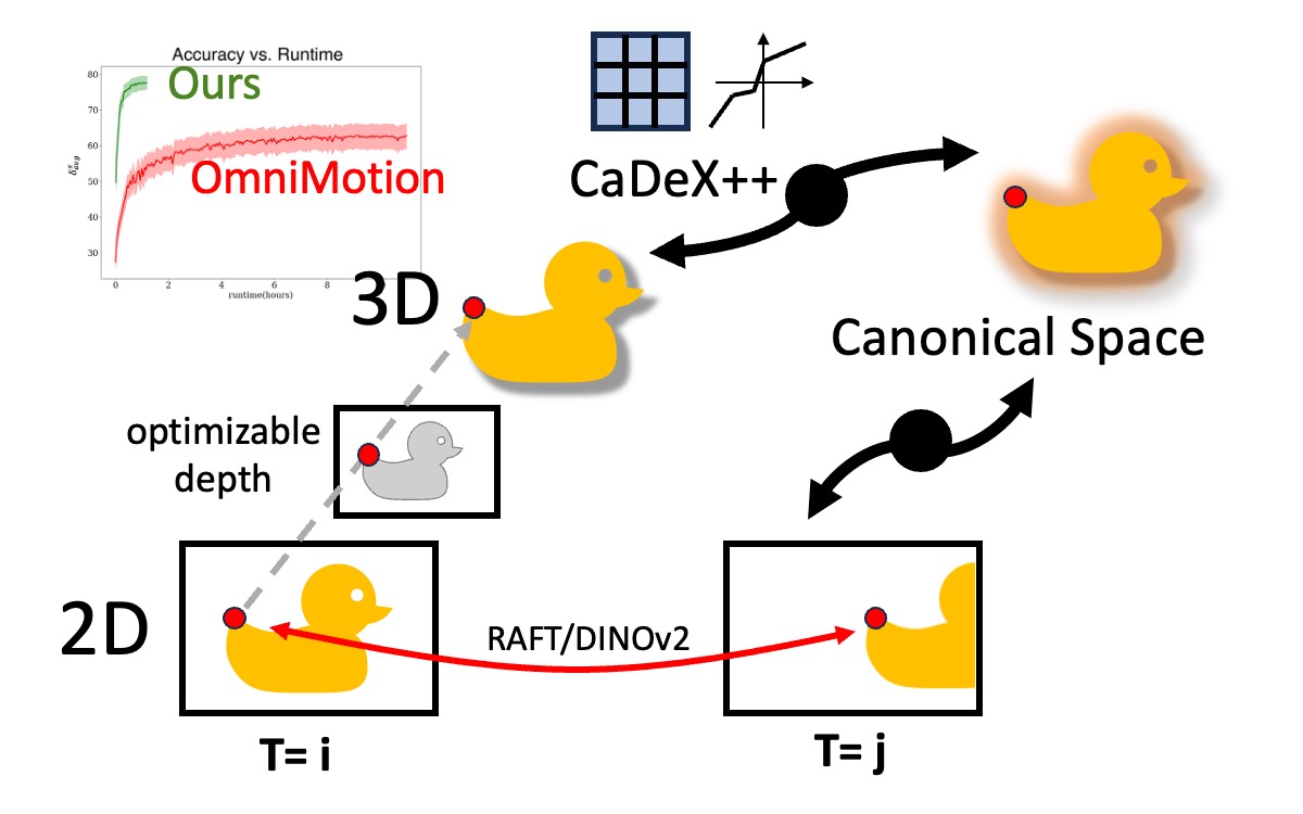Track Everything Everywhere Fast and Robustly